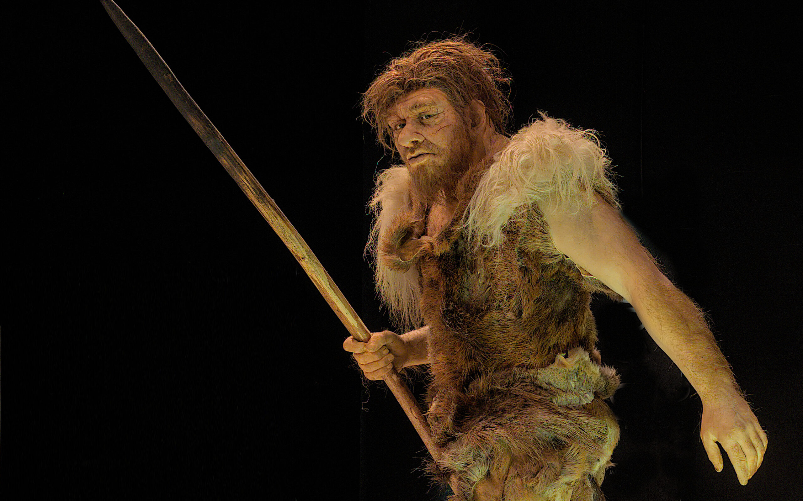 Neanderthals Cooked And Ate Crabs 90000 Years Ago Coastwatchcoastwatch