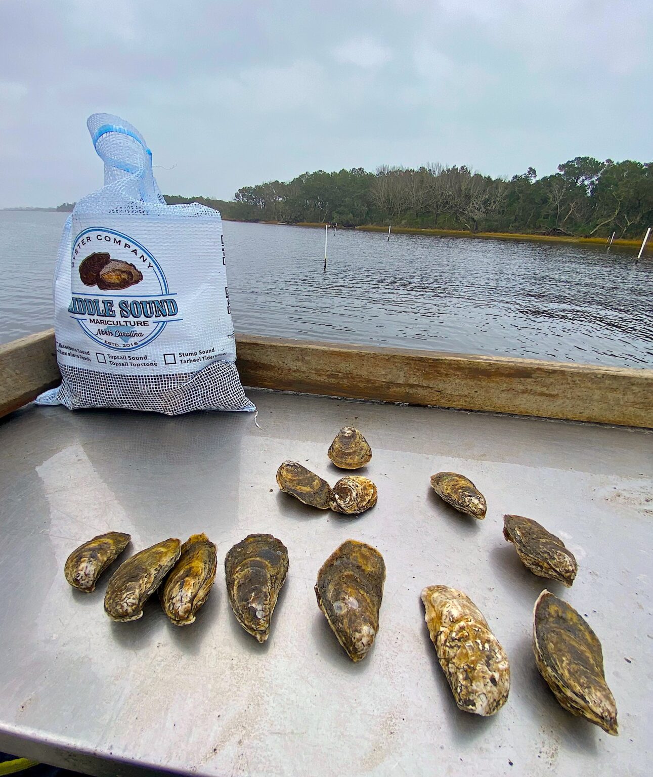 Up Your Local Shell Game: Exploring the NC Oyster Trail - Coastwatch ...