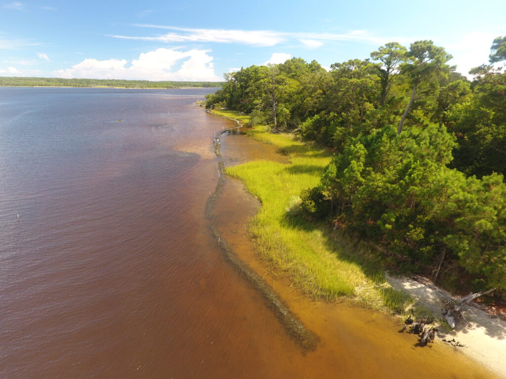 Building Coastal Resilience Through Shoreline Management - Coastwatch ...