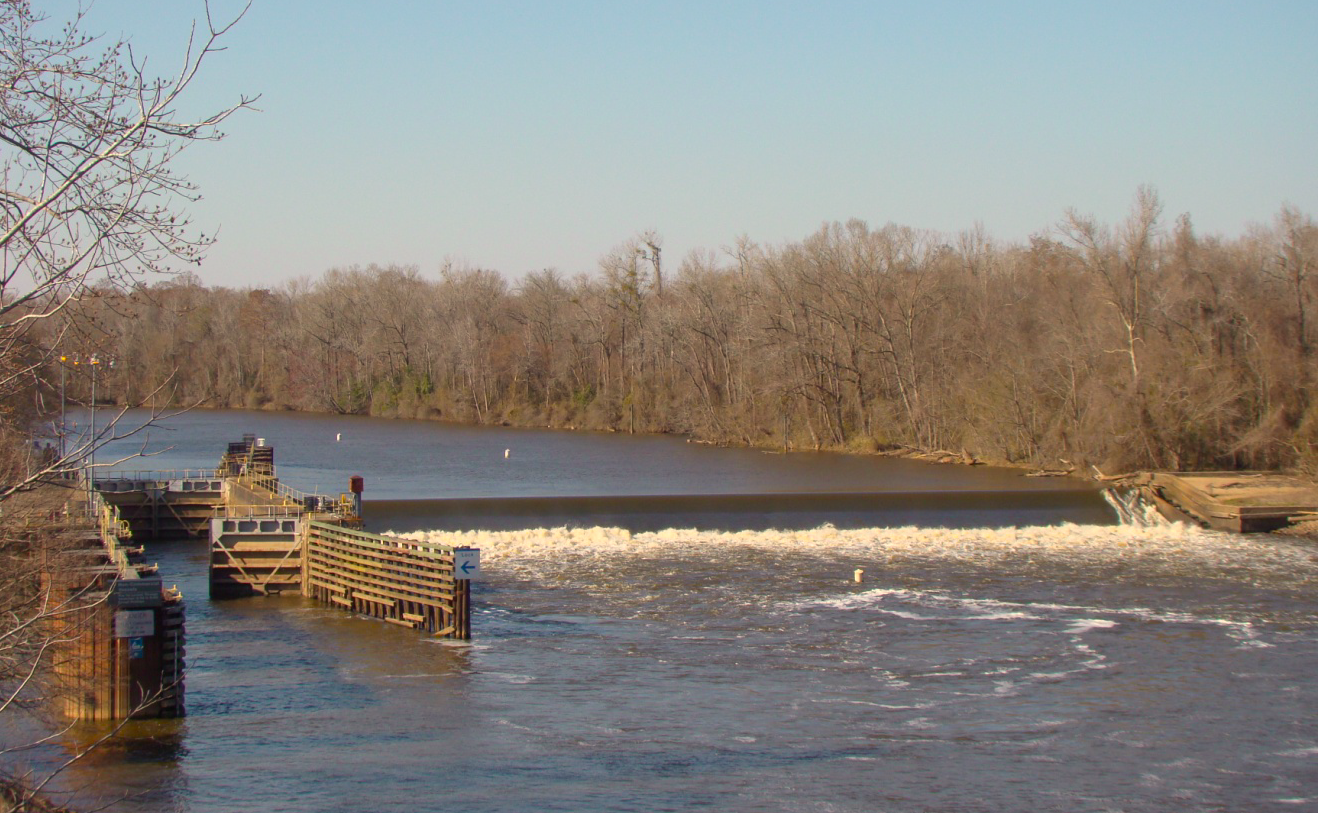 Can Migrating Fish Bypass Dams and Locks? | Hook, Line and Science