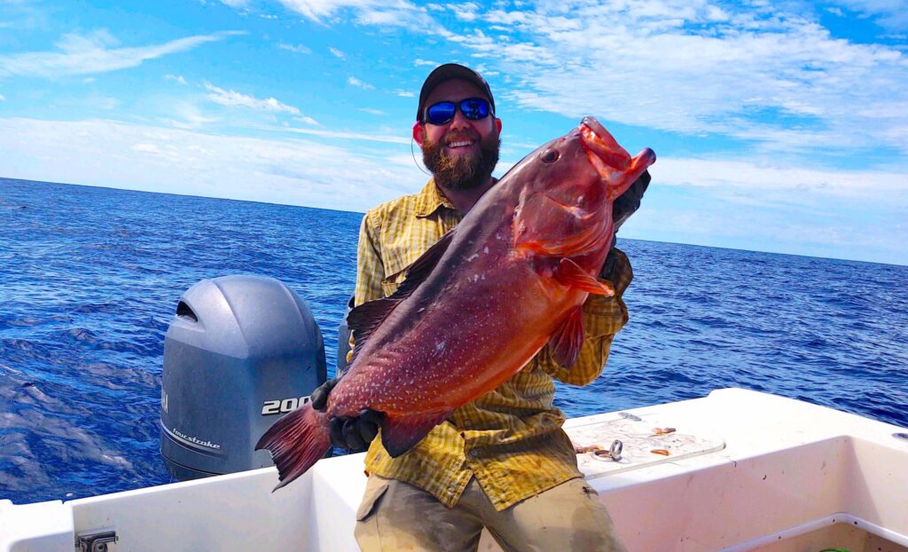 One Fish, Two Fish -- or Was That Fish the Same Fish as the First Fish ...