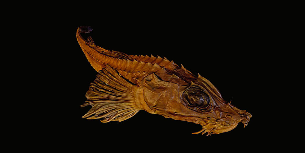 Can Virtual Fish Collections Allow for Online Learning? | Hook, Line ...