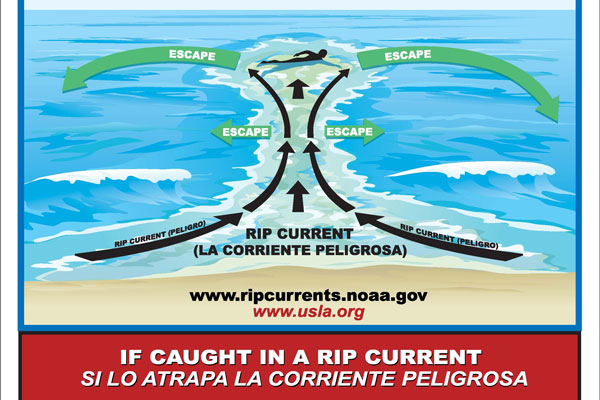 North Carolina Sea Grant