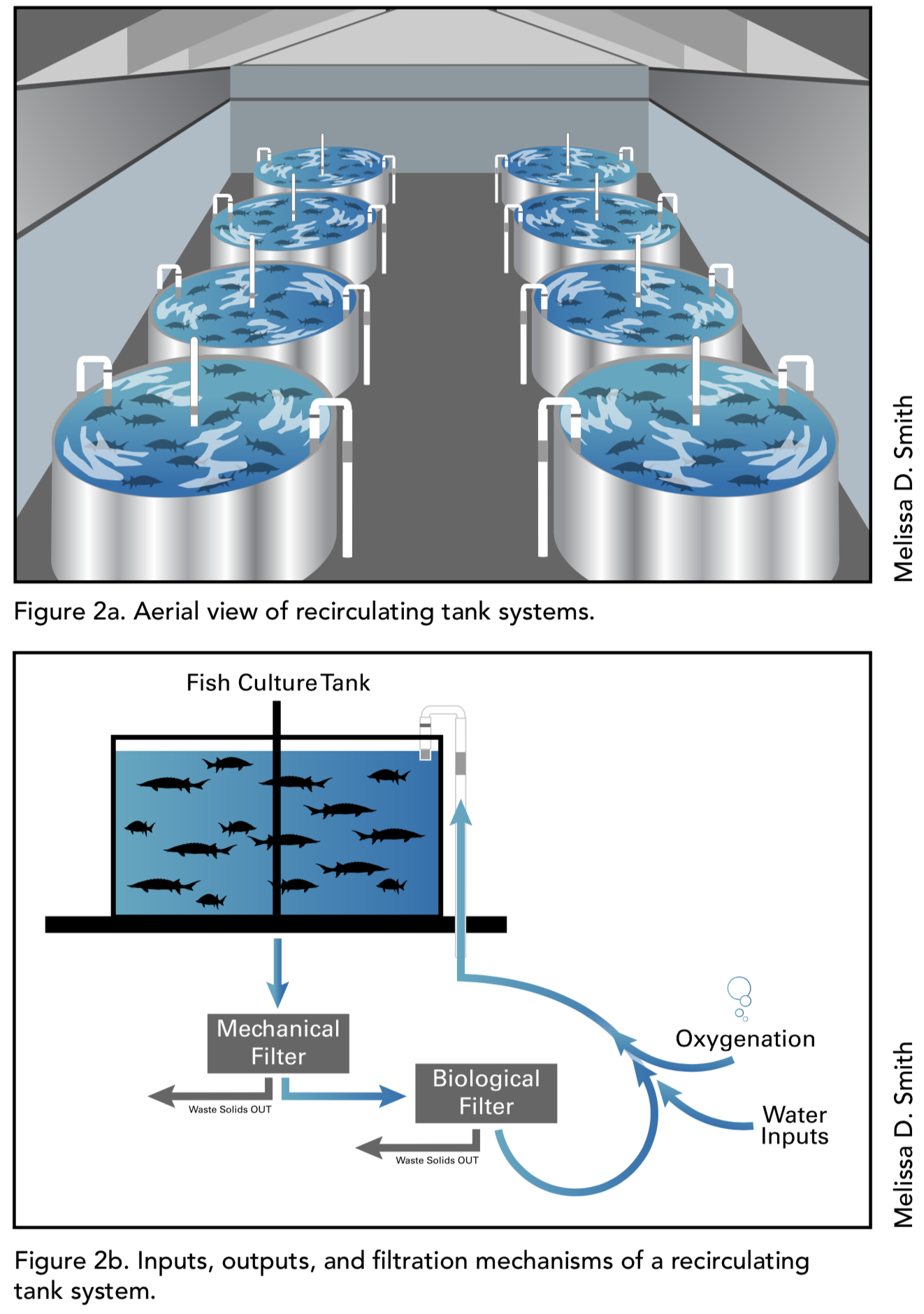 Lesson 5: Aquaculture Production Methods and Policy | North Carolina ...