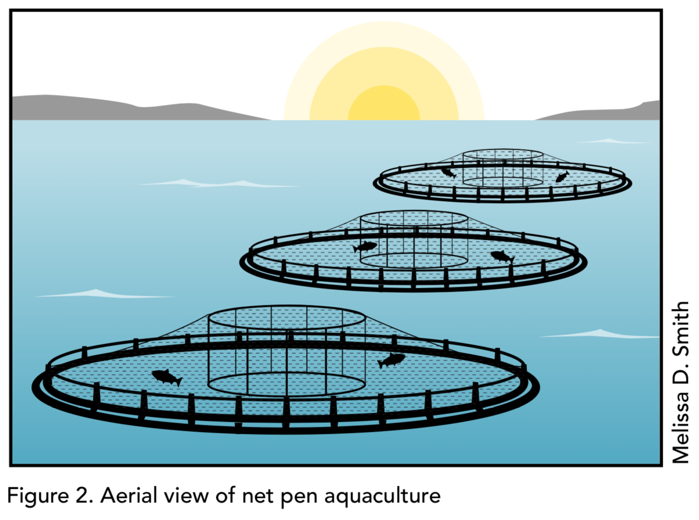 Lesson 7: Open Water Marine Finfish Aquaculture and Its Environmental ...