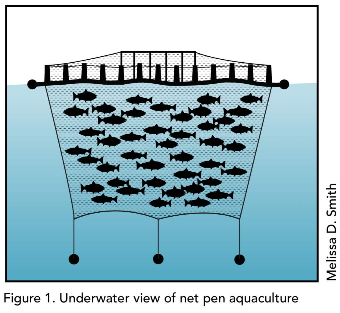 Lesson 7: Open Water Marine Finfish Aquaculture and Its Environmental ...